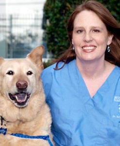 Meet Our Doctors | Rutherford Veterinary Hospital