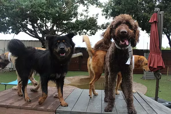 Veterinary Tour | Rutherford Veterinary Hospital